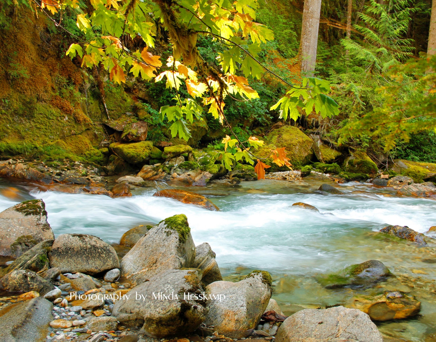 Autumn Tapestry, Woodland Stream, Autumn, Fall Colors, Silky Water ...