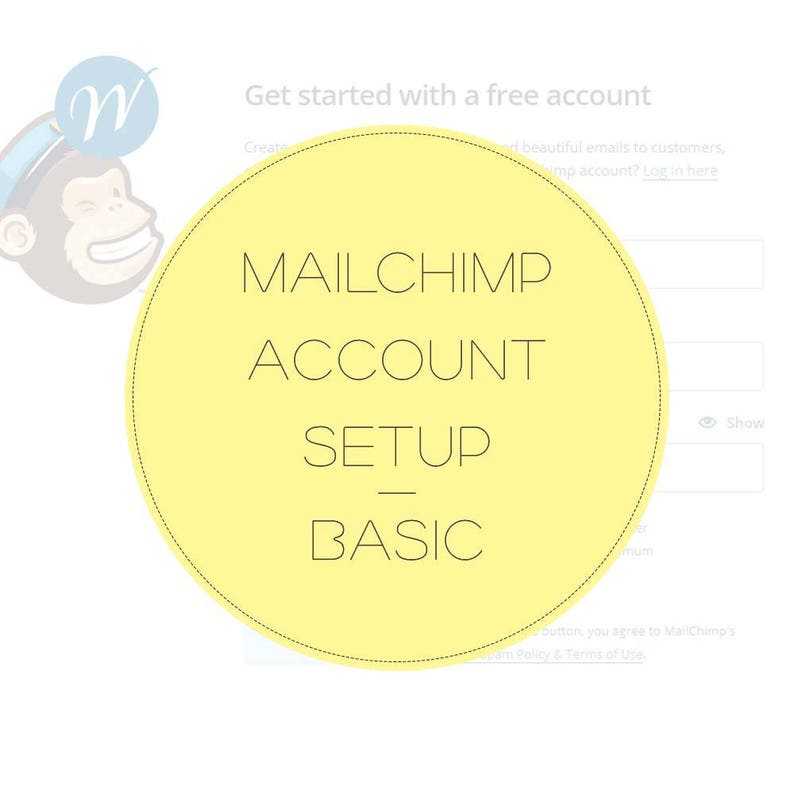 MAILCHIMP Account Setup - Basic - Brand Your Mailchimp Account - Etsy
