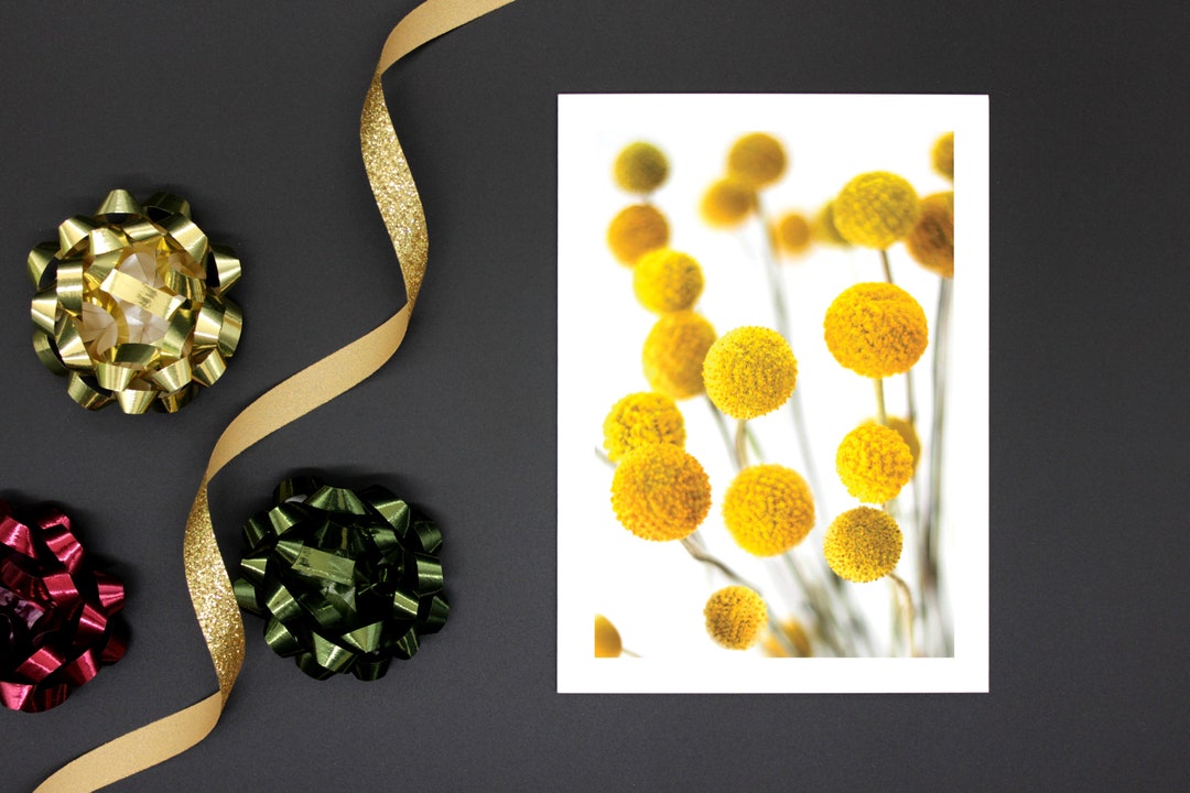 Billy Buttons Greeting Card Set of 5 - Etsy