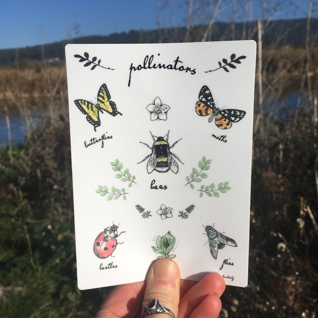 Pollinator Sticker Sheet Moth Butterfly Sticker Sheet - Etsy