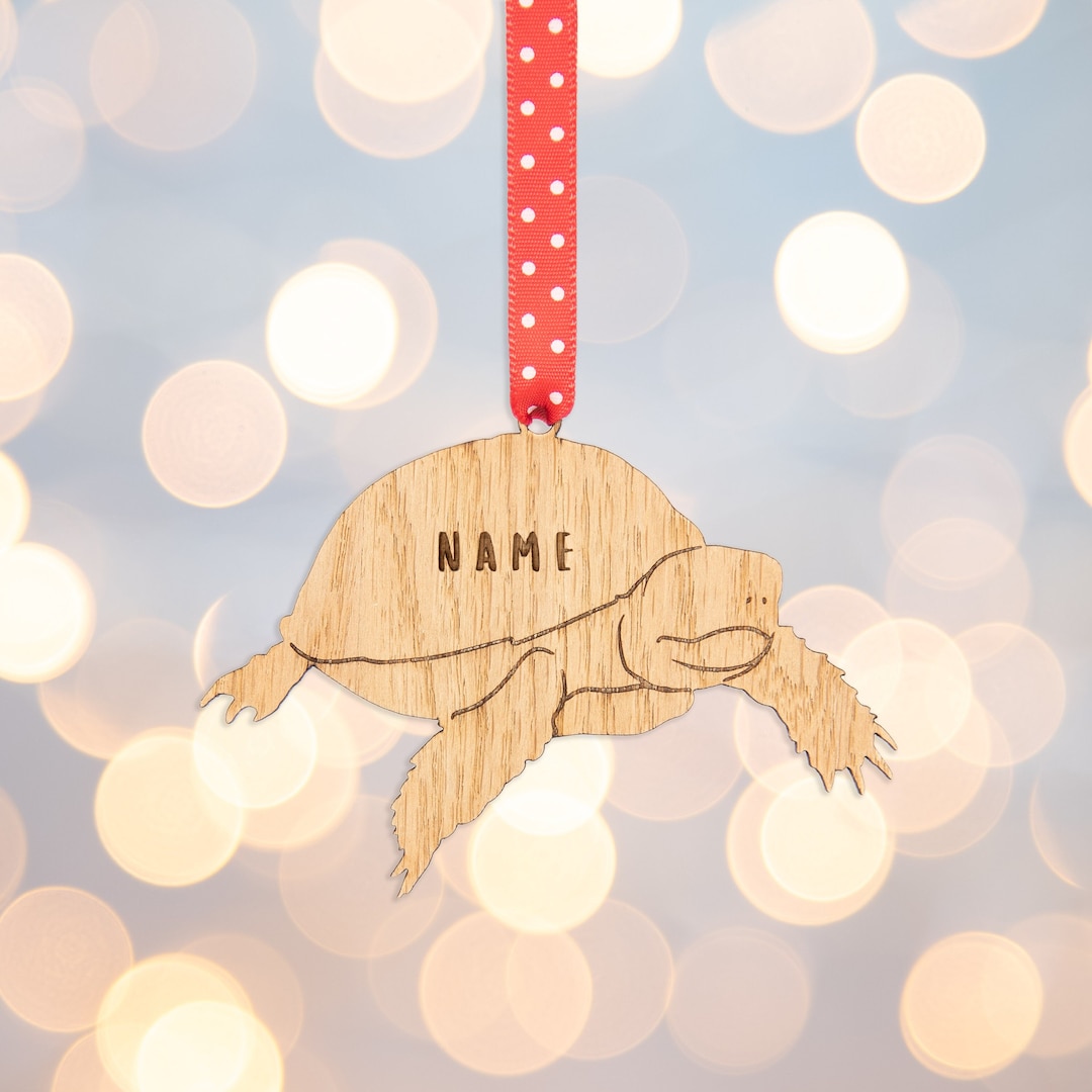 Tortoise Gift Pet | Tortoise Gifts Gift for Her | Tortoise Lover Gift ...