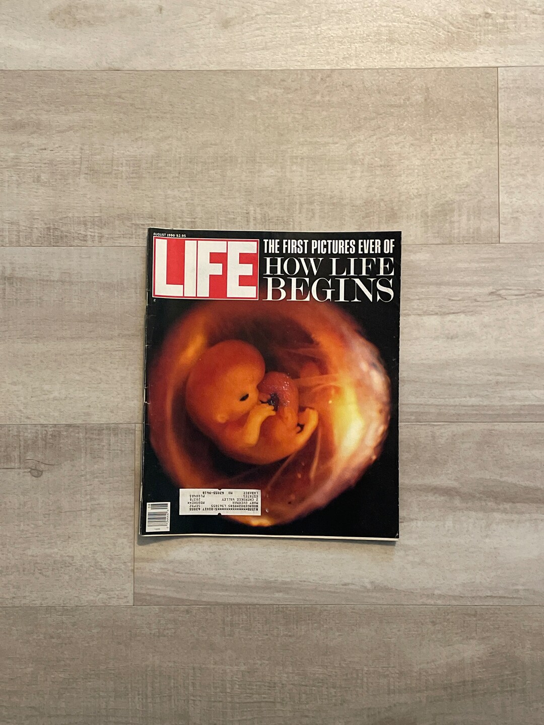 Vintage Life Magazine August 1990 the First Pictures Ever of How Life ...