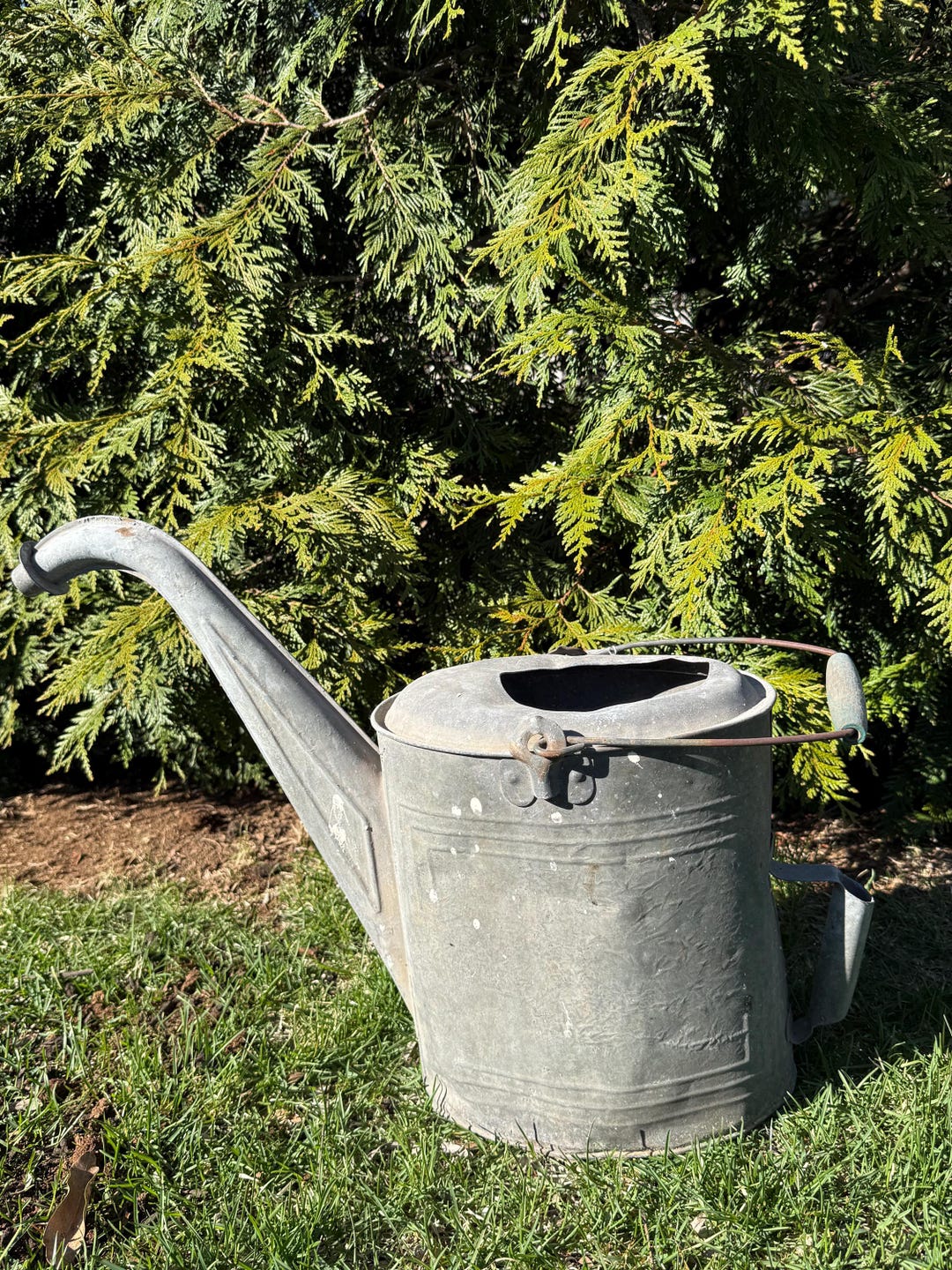 Antique Galvanized Radiator Fluid Can, Watering Can With Curved Long ...