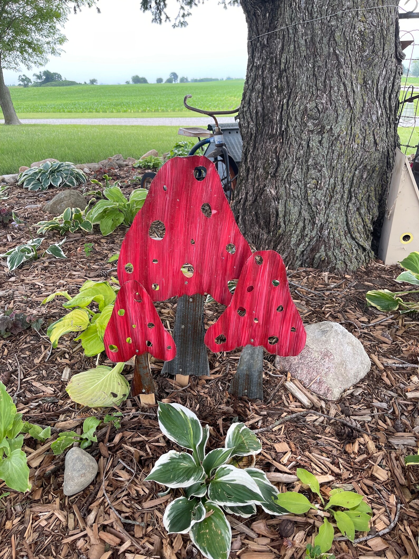 Red Corrugated Tin Morrell Mushroom / Metal Mushrooms / Mushroom Garden ...