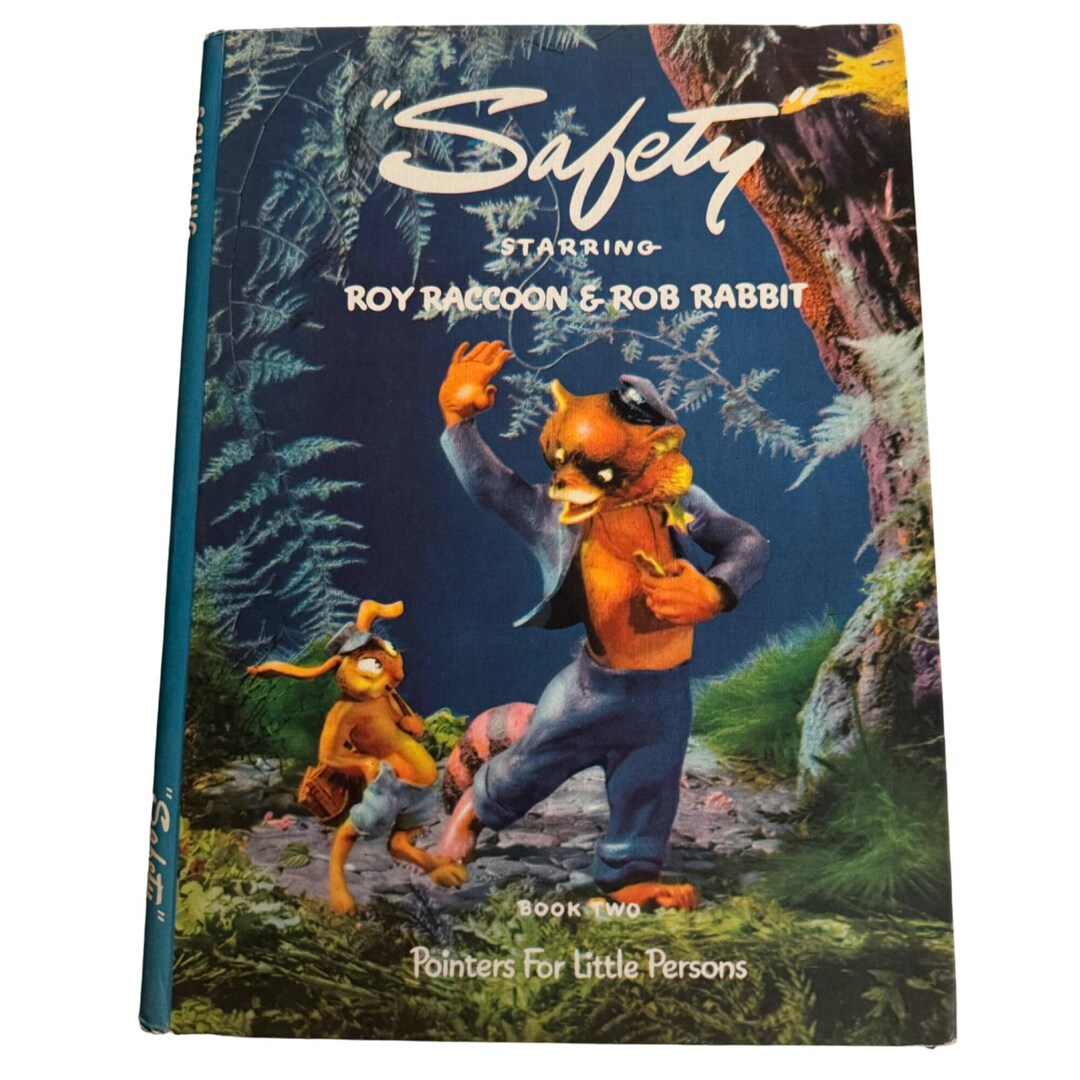 Safety Starring Roy Raccoon Rob Rabbit Book Two Pointers for Little ...