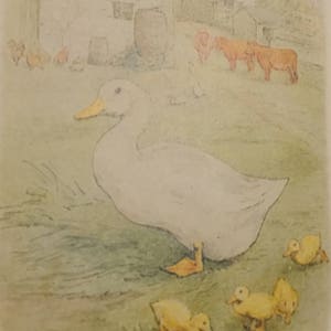 Beatrix Potter Book - the Tale of Jemima Puddle-duck - Etsy