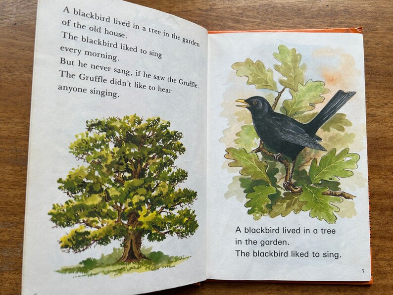 Ladybird Book- the Gruffle in Puddle Lane - Etsy