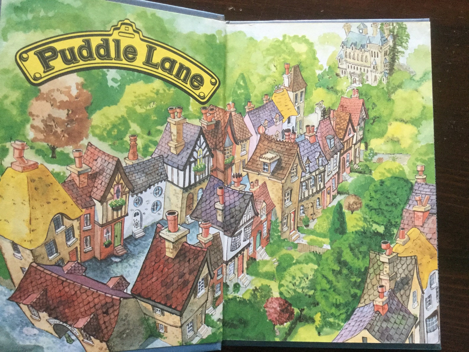 Puddle Lane Ladybird Book - Mrs Pitter-patter and the Magician - Etsy