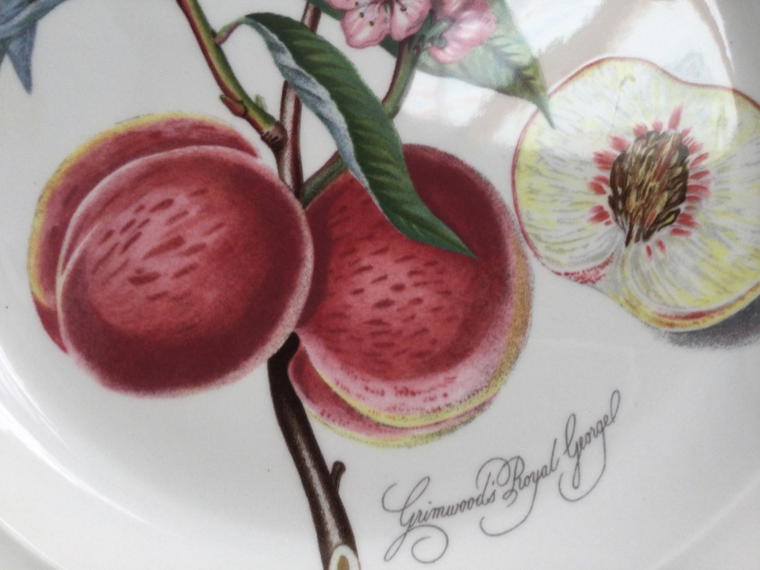 Portmeirion Pomona Grimwoods Royal George Apfel Beilagenteller - Etsy ...