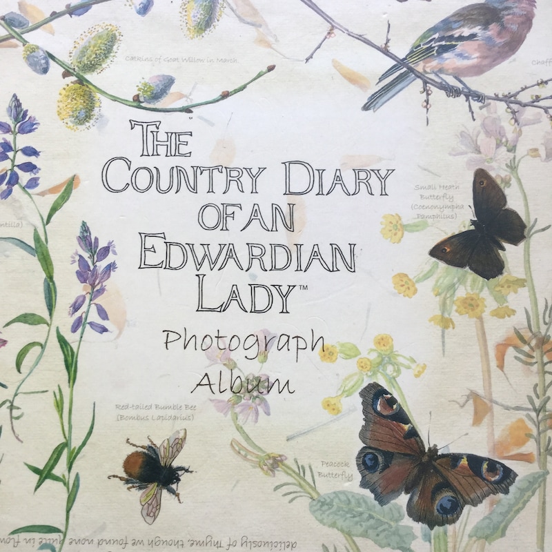 Country Diary - Etsy