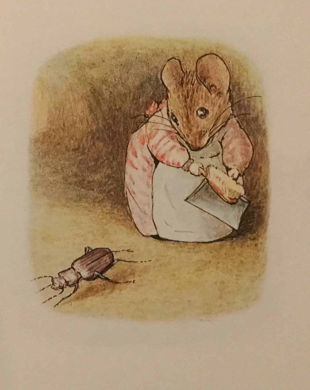 Beatrix Potter Book - the Tale of Mrs Tittlemouse - Etsy