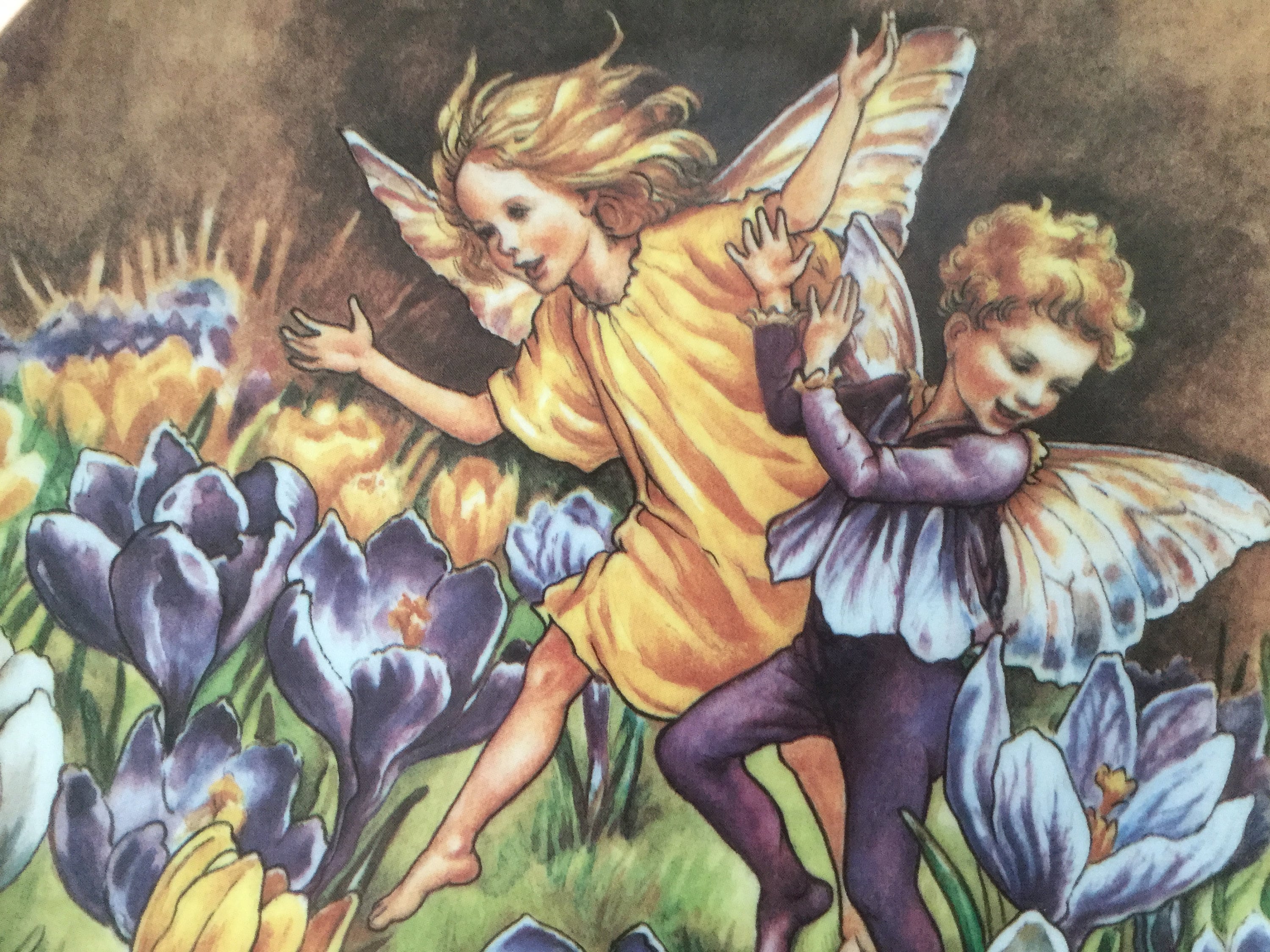 Heinrich Flower Fairies Plate - the Crocus Fairy - Etsy UK