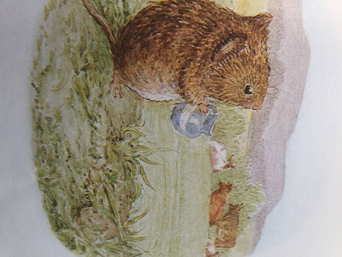Beatrix Potter Book the Tale of Johnny Town Mouse | Etsy