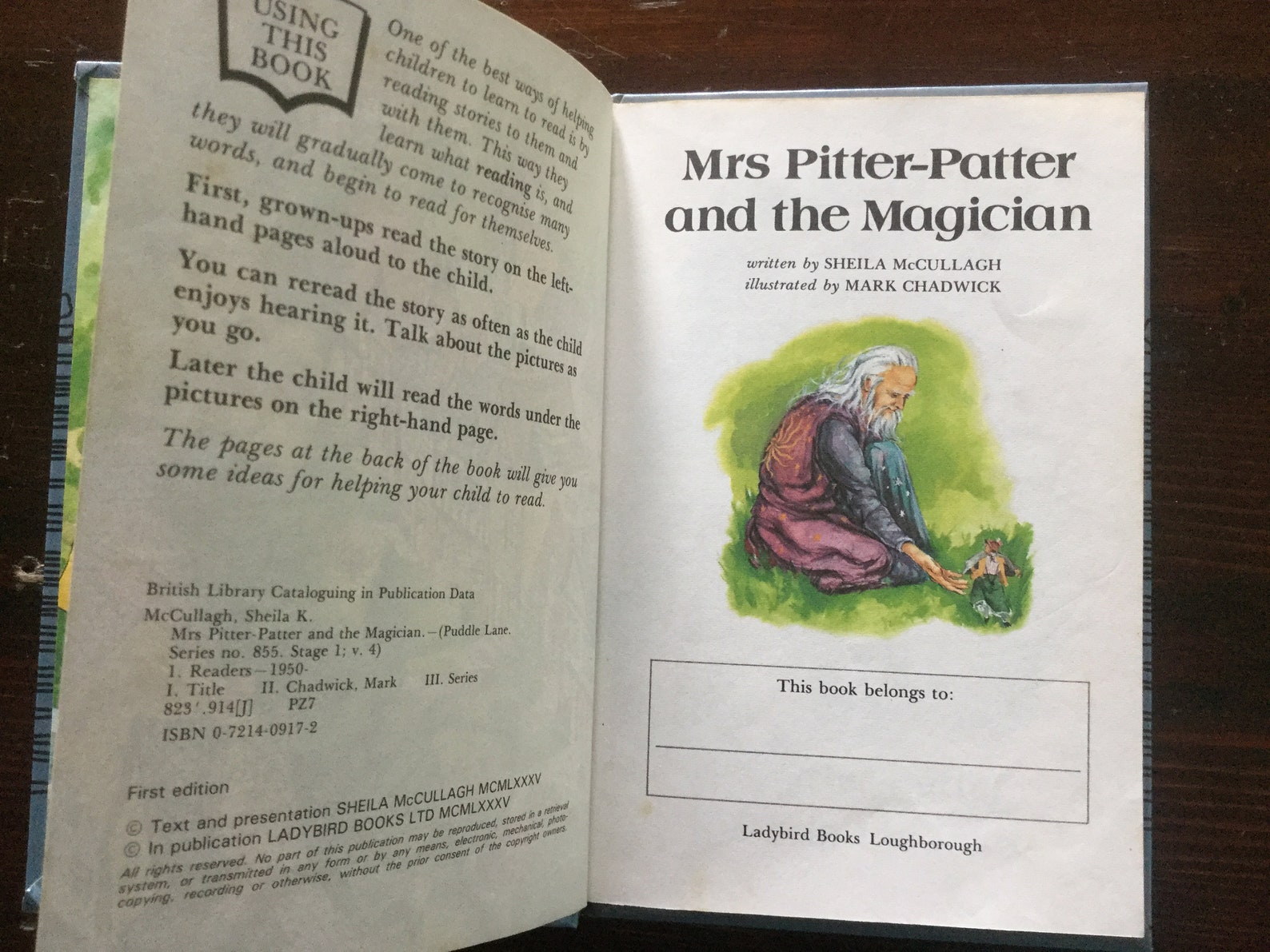 Puddle Lane Ladybird Book - Mrs Pitter-patter and the Magician - Etsy