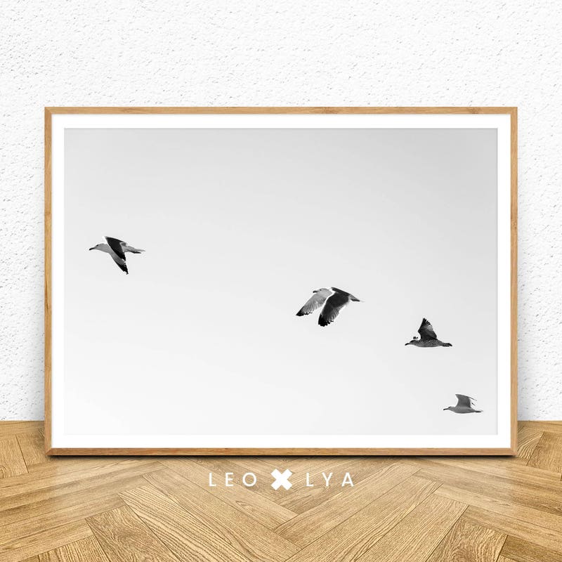 Seagull Art - Etsy