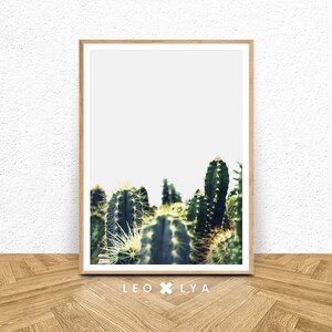 Cactus Photo, Succulent Print, Cactus Wall Art, Home Decor, Living Room ...