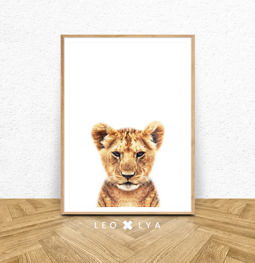 Animal Print, Lion Cub Photography, Safari Nursery Animal Print, Lion ...