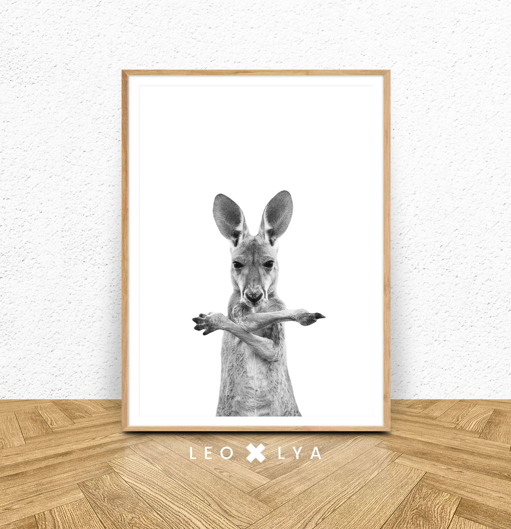 Kangaroo Print Kangaroo Photo Australian Wall Art | Etsy
