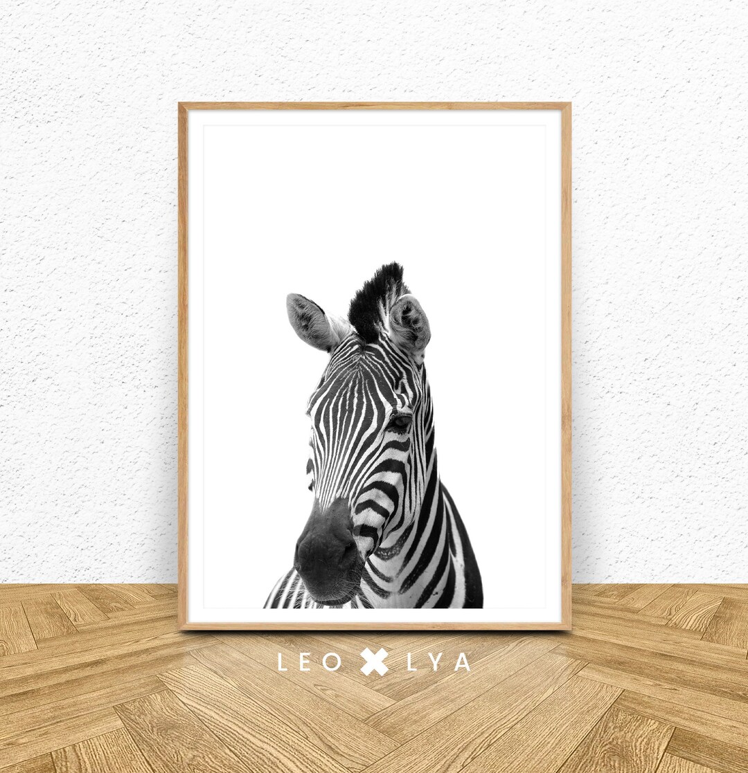 Animal Print, Zebra Print, Safari Nursery Animal Print, Zebra Digital ...