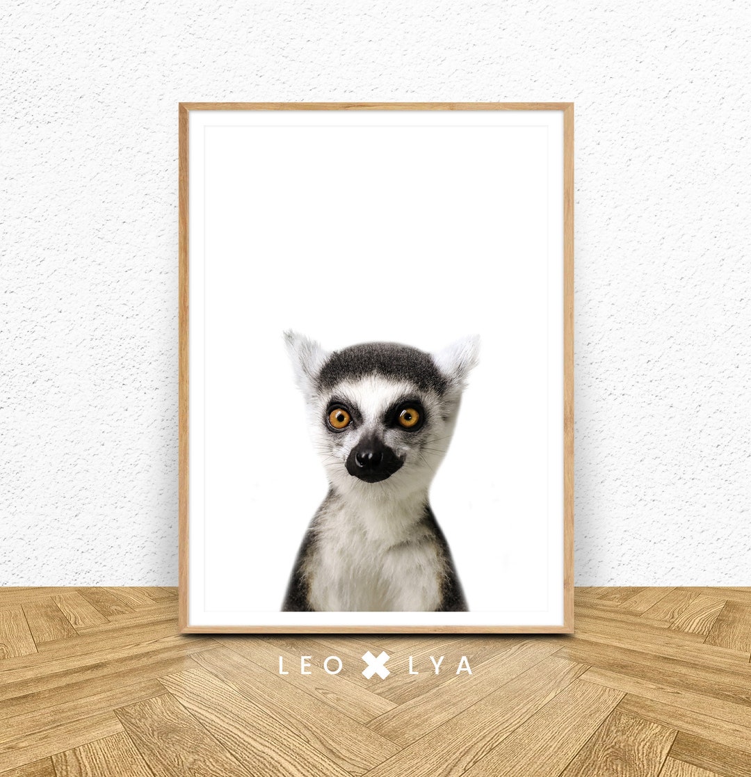Lemur Catta Print, Lemur Wall Art, Nursery Animal Decor, Jungle Animal ...