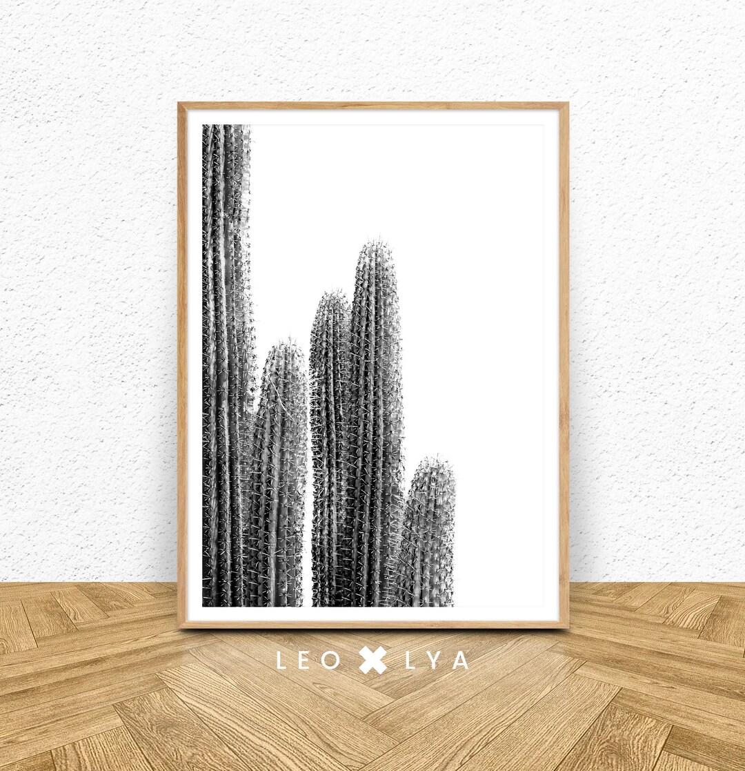 Printable Cactus, Black and White Plant, Printable Wall Art, Modern ...