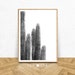 Printable Cactus, Black and White Plant, Printable Wall Art, Modern ...