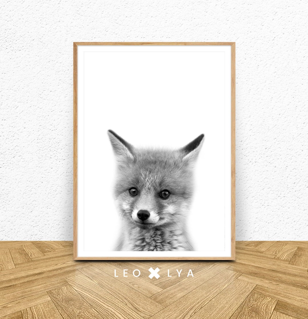 Poster chambre enfant, bébé renard, photo renardeau, décoration bébé ...