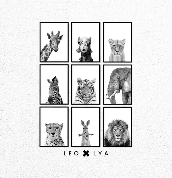 Kids Animals Printable Set Safari Nursery Black and White | Etsy
