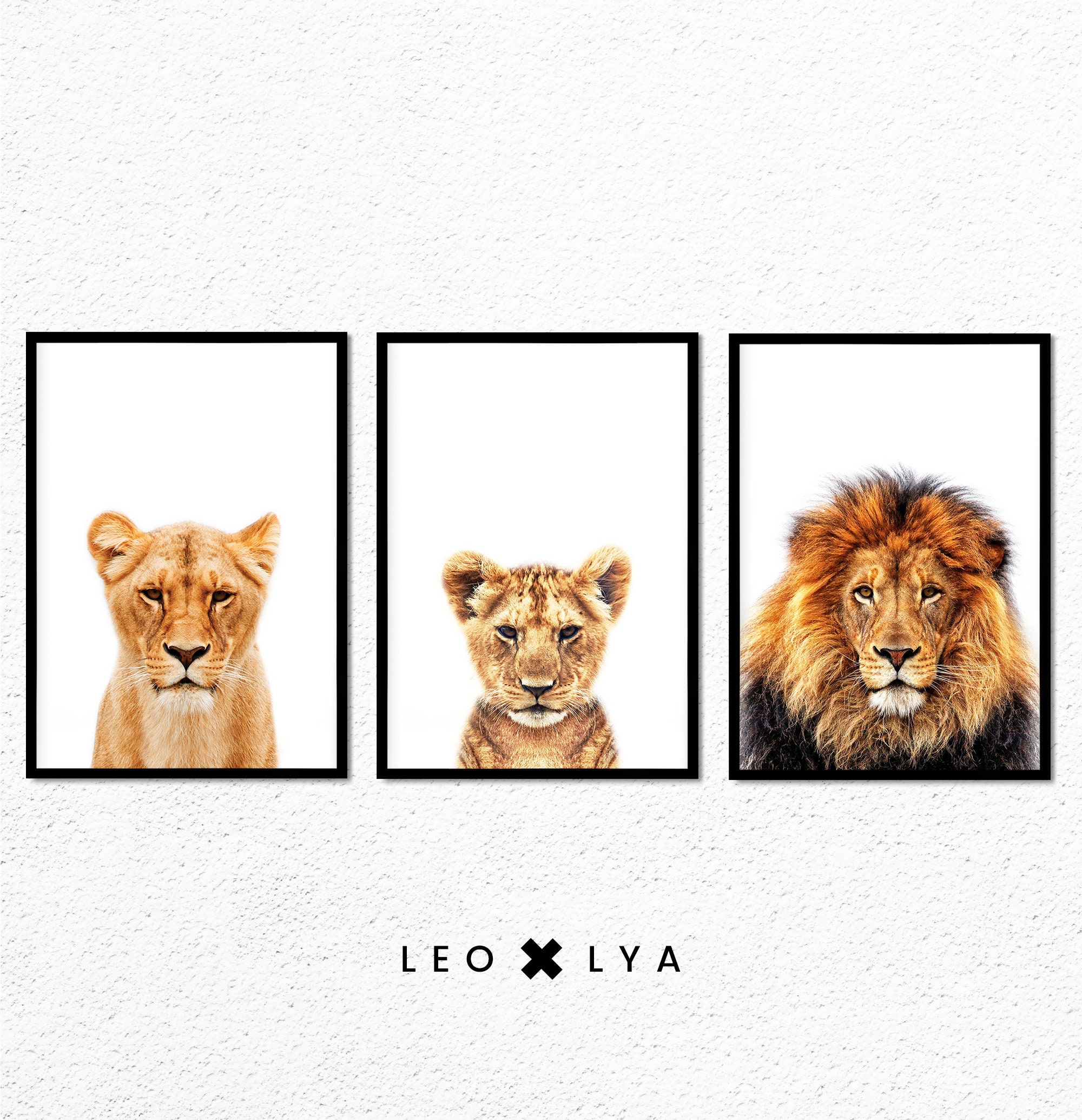 Lion Print Set Lion Cub Print Lioness Print Set of 3 - Etsy