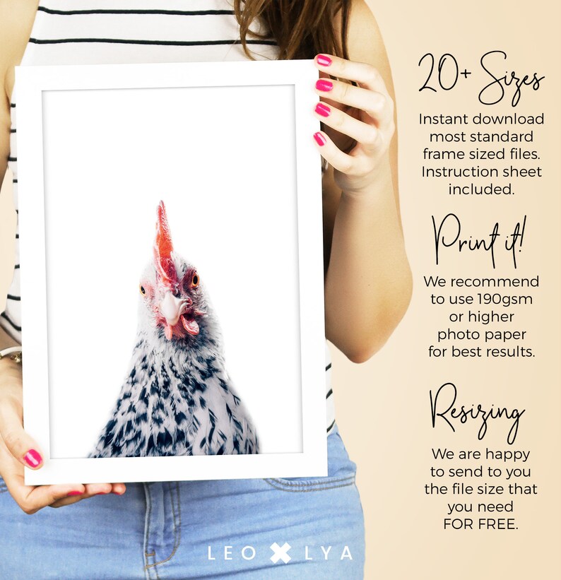 Farm Animal Print Chicken Wall Art Nursery Animal Decor | Etsy