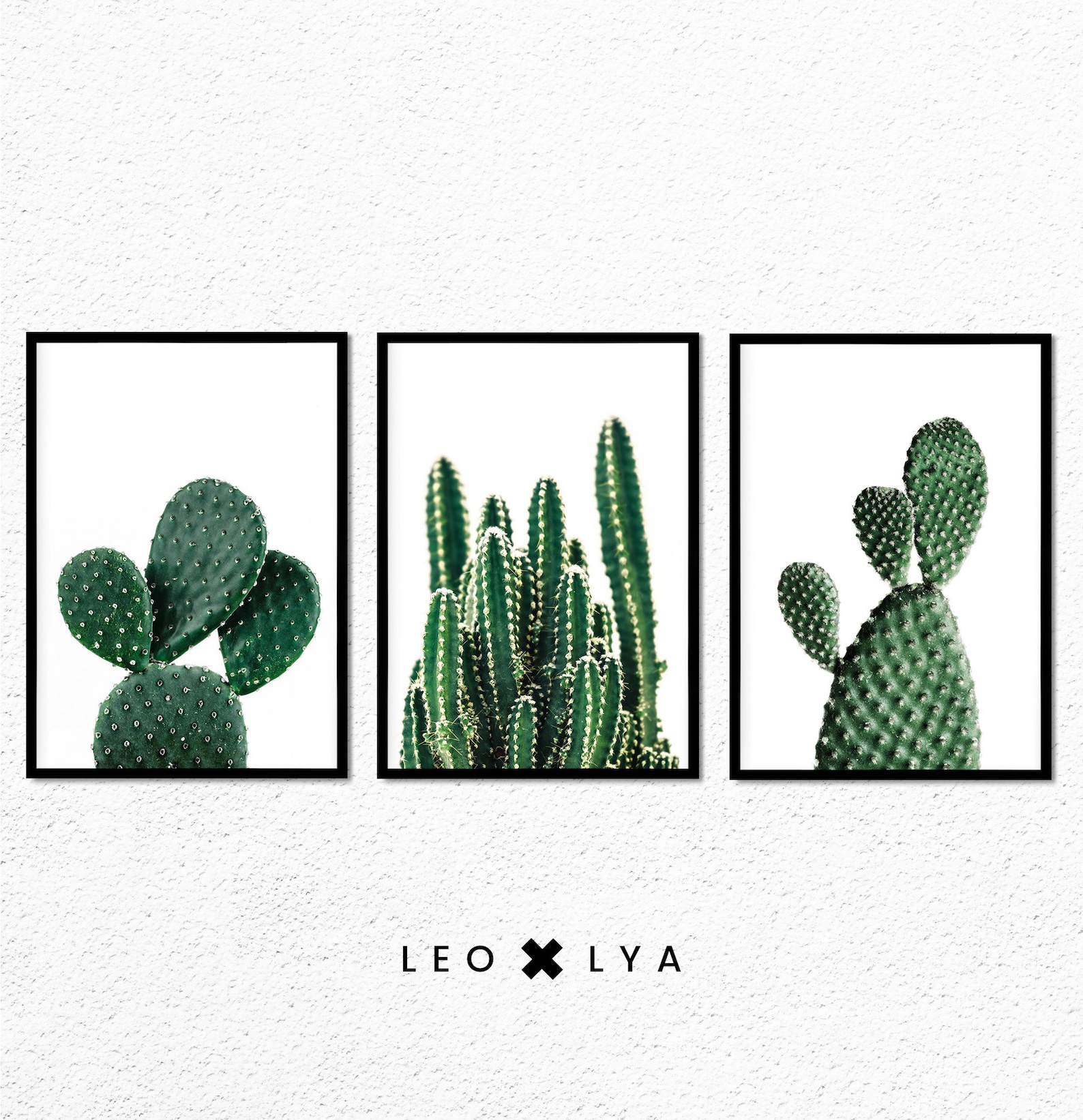 Cactus Print Set Cactus Wall Art Botanical Print Wall Art | Etsy