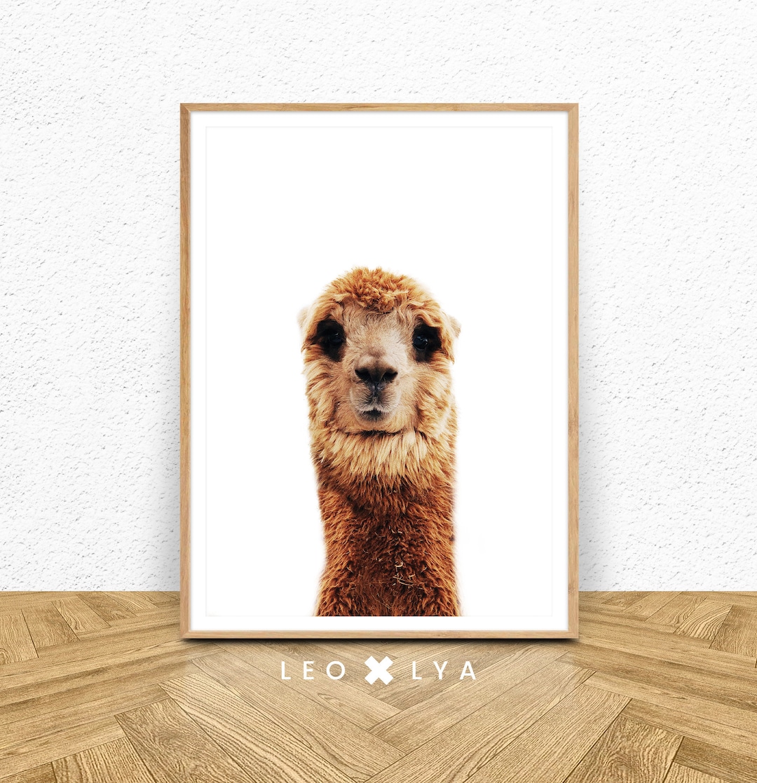 Alpaca Print Llama Wall Art Nursery Farm Decor Farmhouse - Etsy