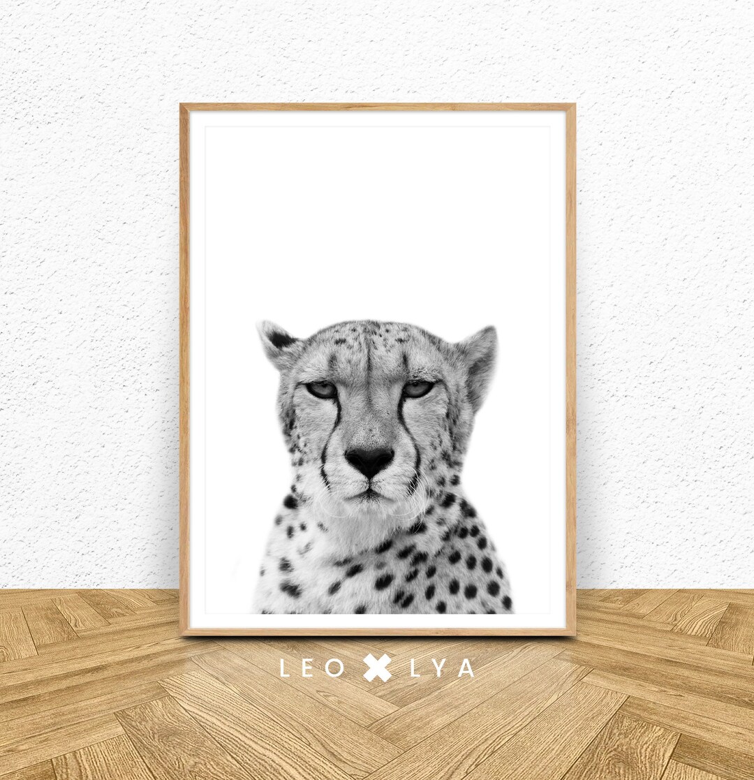 Animal Print, Cheetah Photography, Safari Nursery Animal Print, Cheetah ...