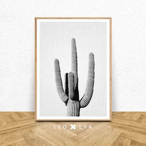 Cactus Print, Cactus Black and White Photography, Cactus Wall Art ...