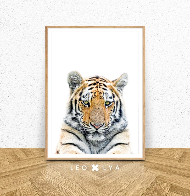 Safari Animal Print, Nursery Printable, Set of 6 Prints, Jungle Animals ...