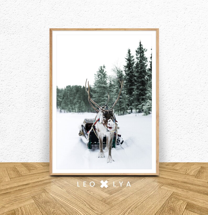 Reindeer Photography, Winter Forest, Set of 3 Winter Posters, Holiday ...