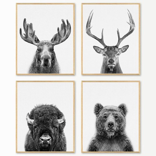 Bison Print Buffalo Print Bison Wall Art Nursery Decor | Etsy