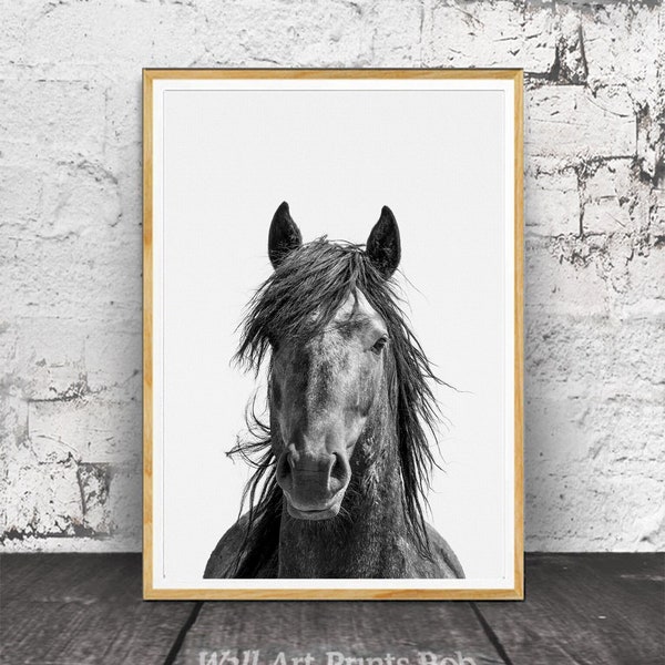 Black Stallion Poster - Etsy