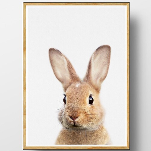 Rabbit Bunny Print Nursery Animals Printable Wall Art - Etsy