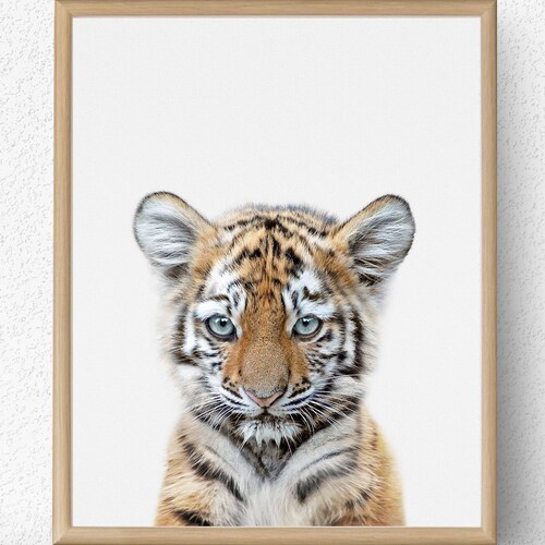 Tiger Print Tiger Wall Art Baby Room Decor Animal Prints - Etsy