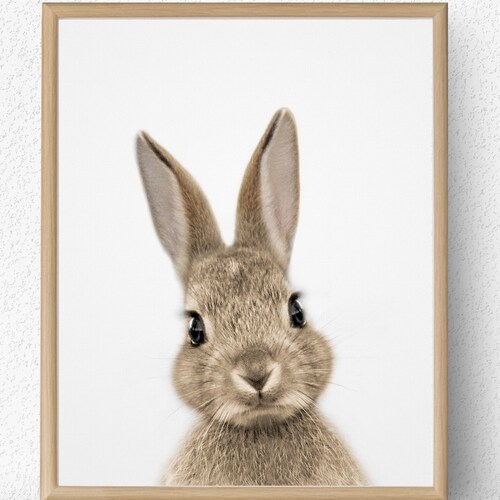 Rabbit Print Animal Wall Art Rabbit Printable Art Bunny - Etsy