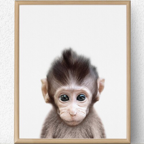 Baby Monkey Print Jungle Animal Color Photo Nursery Animal - Etsy
