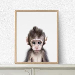 Baby Monkey Print, Baby Monkey Wall Art, Baby Animal Prints, Baby ...