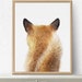 Fox Cub Tail Print Woodland Animals Woodlands Decor Baby - Etsy