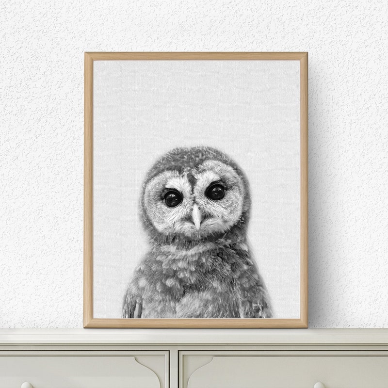 Black and White Owl - Etsy