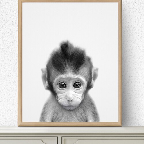 Baby Monkey Print Baby Monkey Wall Art Baby Animal Nursery | Etsy