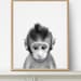 Baby Monkey Print Baby Monkey Wall Art Baby Animal Nursery | Etsy
