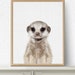 African Animal Meerkat Print Nursery Animals Baby Animal - Etsy