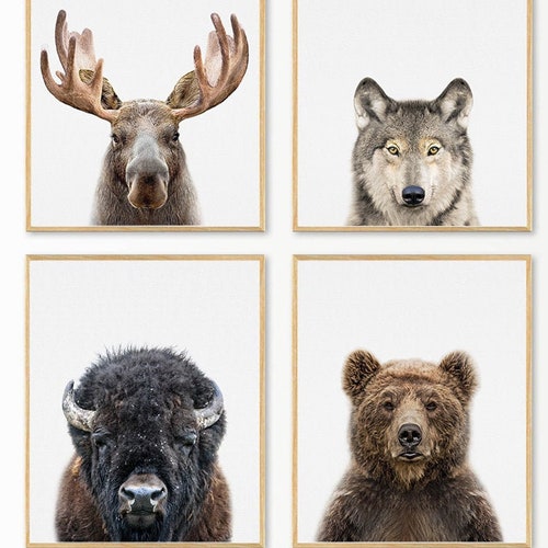 Set of 6 Woodland Animals Forest Animal Print Wall Art - Etsy