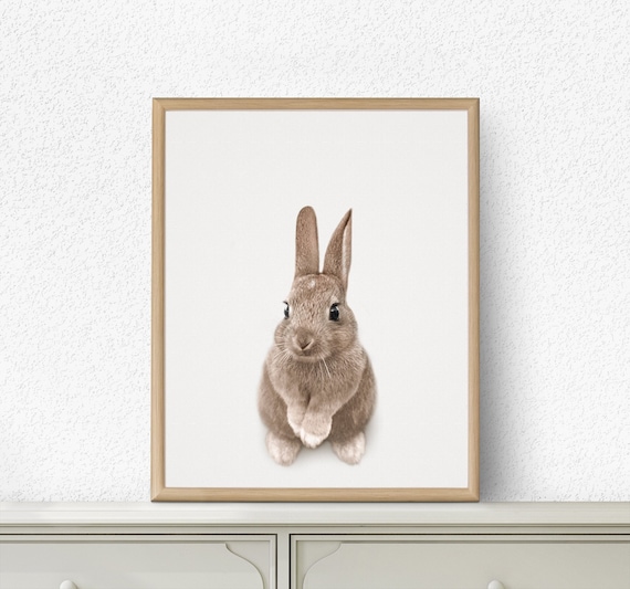 Nursery Bunny Rabbit Print Nursery Animal Wall Art Decor - Etsy